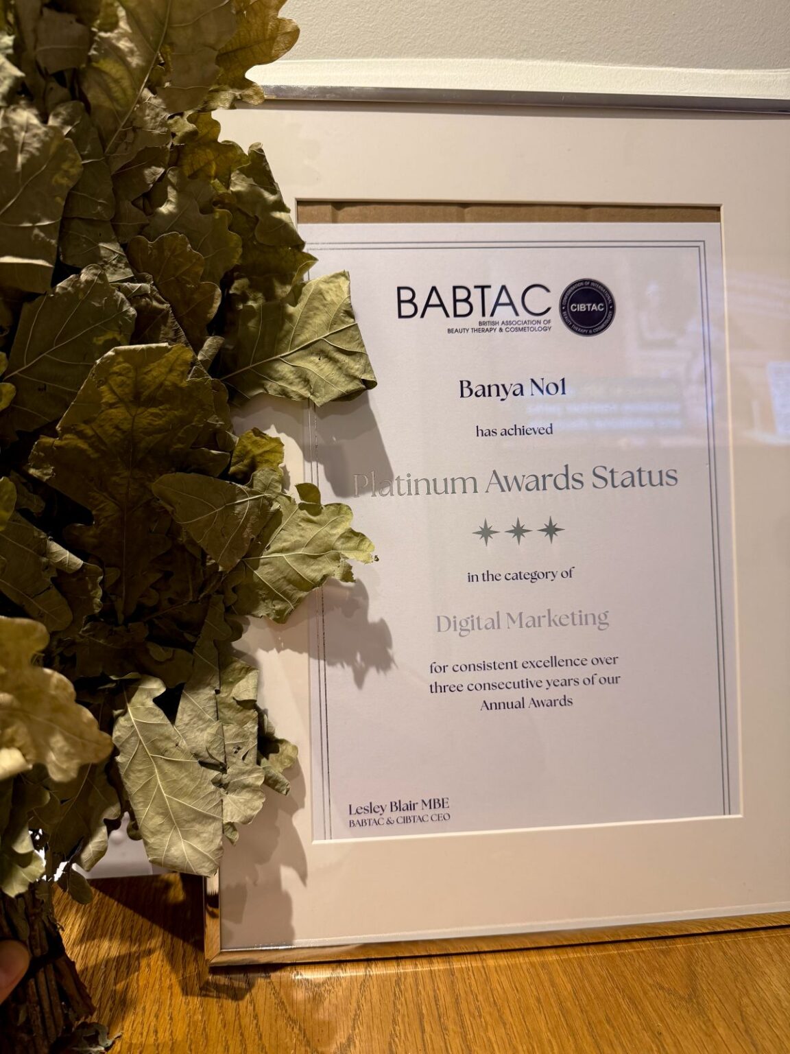 Banya No.1 Wins Digital Marketing Award 2025 – Three Years in a Row ...