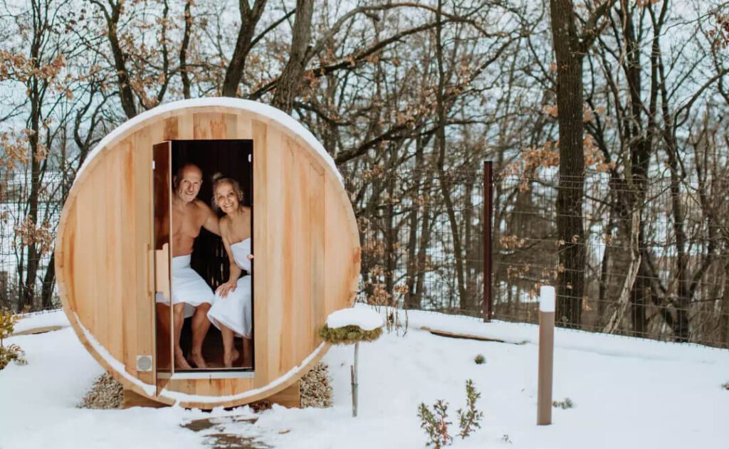 Russian Banya in Winter: Tradition, Benefits & Cold Plunge Ritual ...